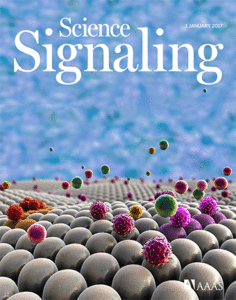 Cover of Science Signaling | BioSerendipity