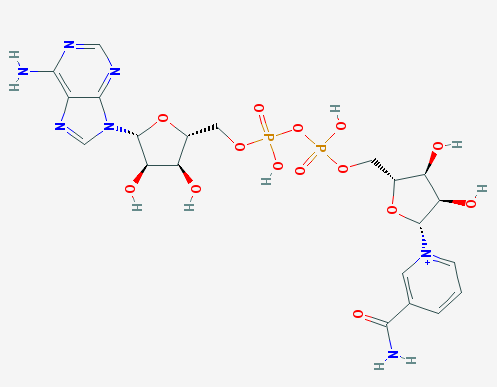 NAD+ | BioSerendipity