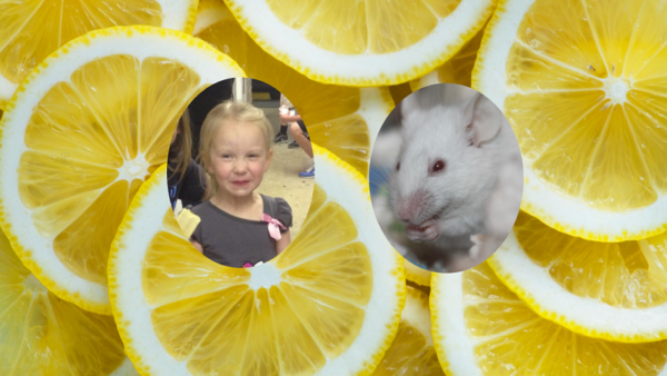 Liman Lab Reveals Mechanism of Sour Taste | BioSerendipity