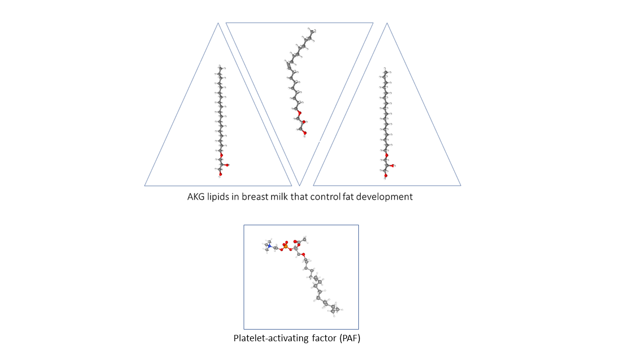 Structures of breast milk lipids and PAF | BioSerendipity